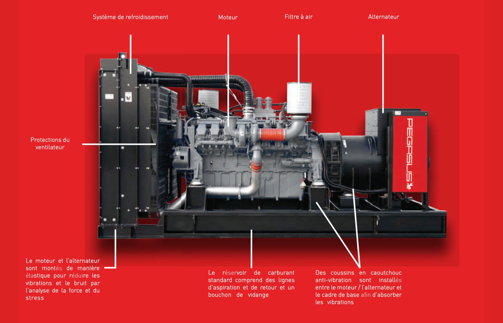 Electric Motor - Pegasus